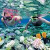 îles Cham : Guide complet et que faire à l’île Cu Lao Cham Vietnam