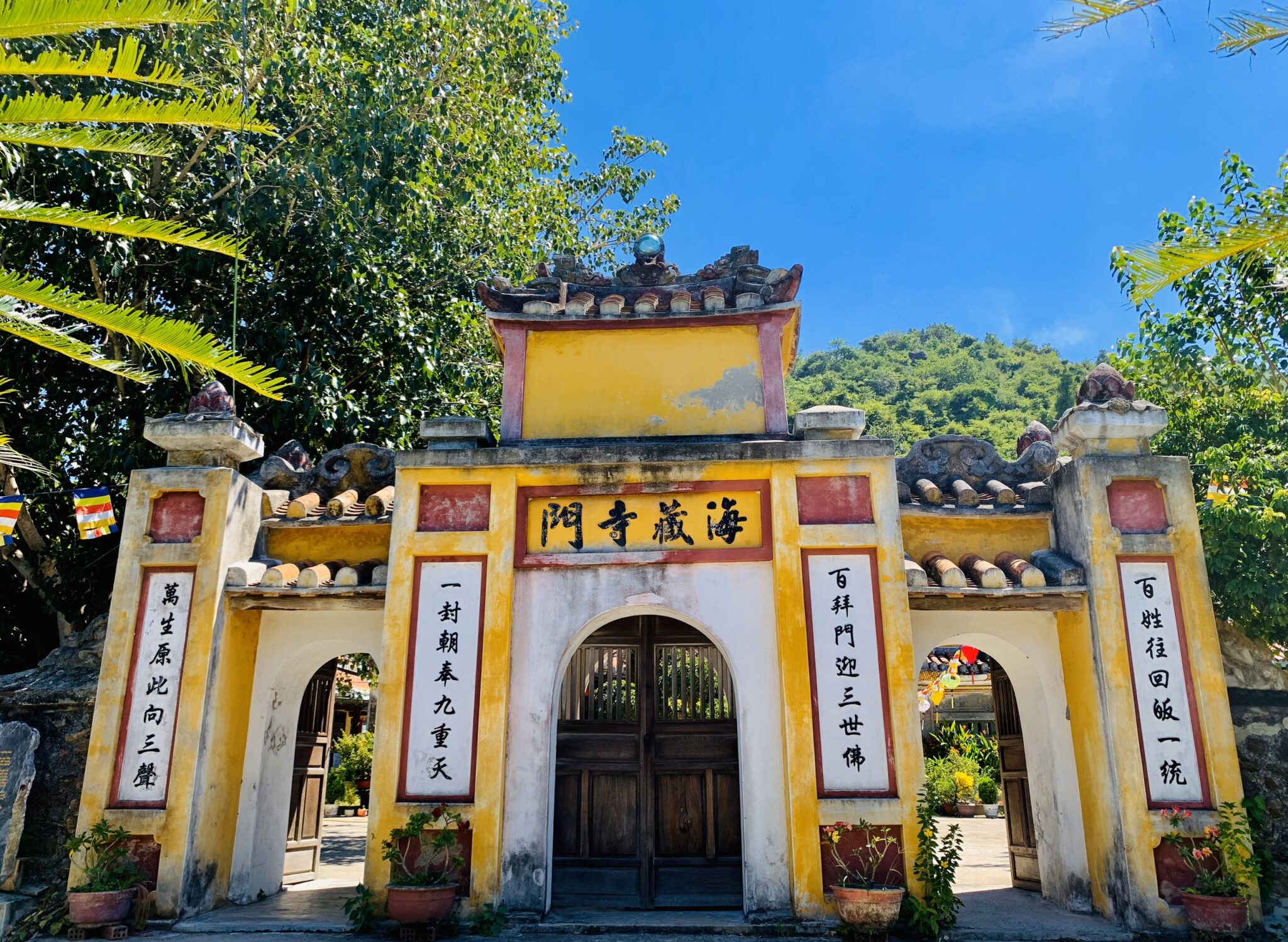 îles Cham : Guide complet et que faire à l’île Cu Lao Cham Vietnam