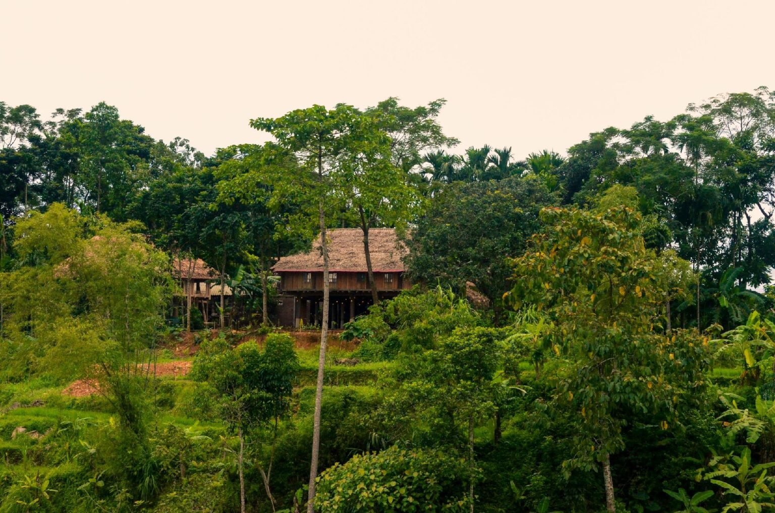 Pu Luong Vietnam - TOP 11 choses à savoir absolument et guide complet