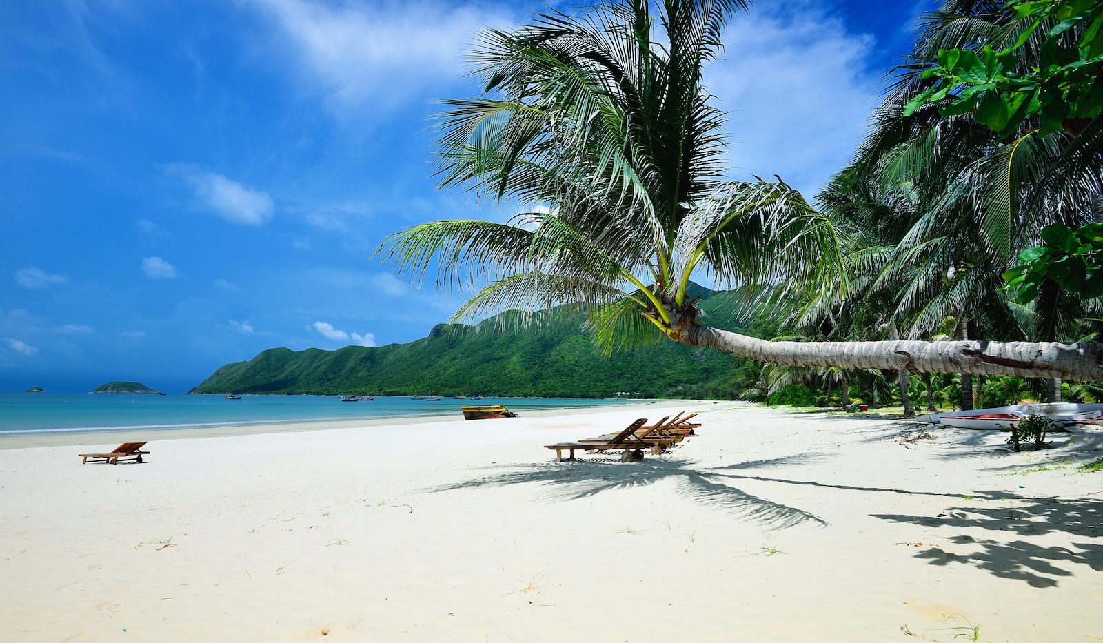 Con Dao Vietnam : TOP 10 des choses à faire absolument et guide complet ...