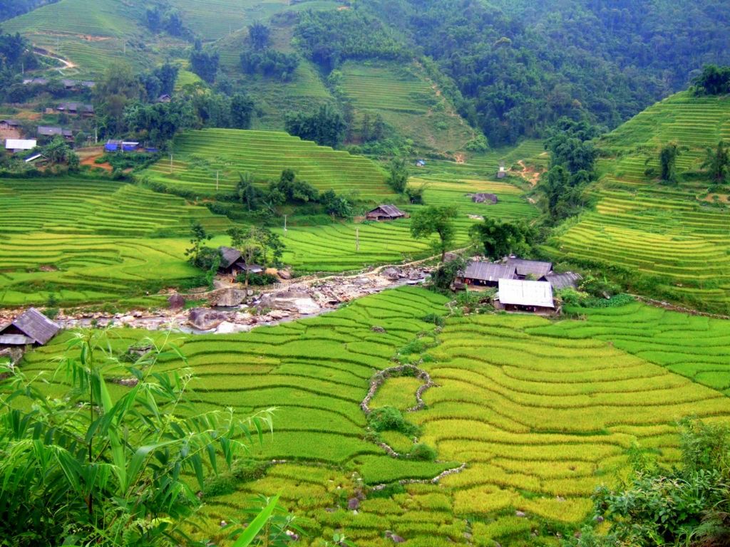 Vallée de Muong Hoa Sapa - Guide de voyage complet et conseils pour le ...
