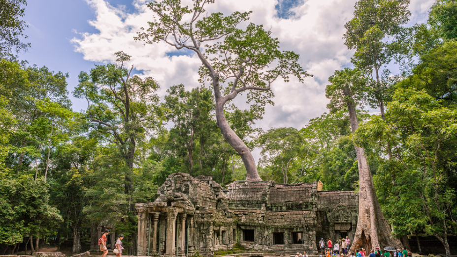 Ta Prohm Cambodge, guide complet et 8 meilleures choses à faire à ce temple