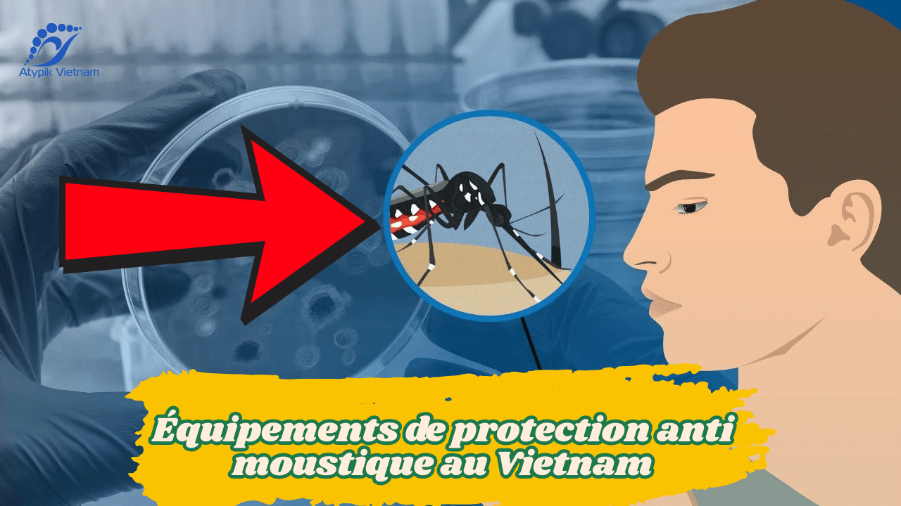 Période moustique au Vietnam : Conseils et solutions anti-moustiques