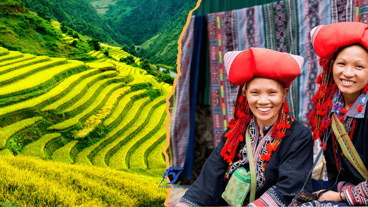 Rizière Sapa Vietnam : Guide complet et top 9 des plus belles rizières