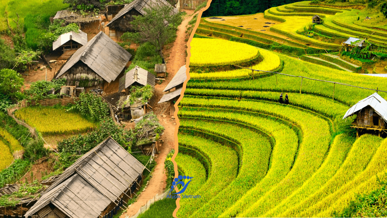 Rizière Sapa Vietnam : Guide complet et top 9 des plus belles rizières